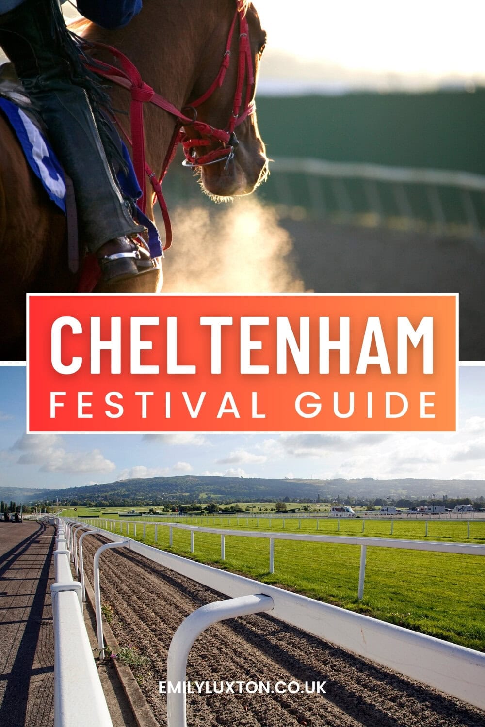 The Ultimate Guide to the The Cheltenham Festival