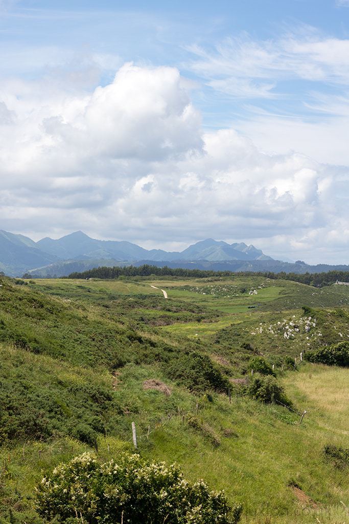 The Camino del Norte: An Introduction to the Northern Way