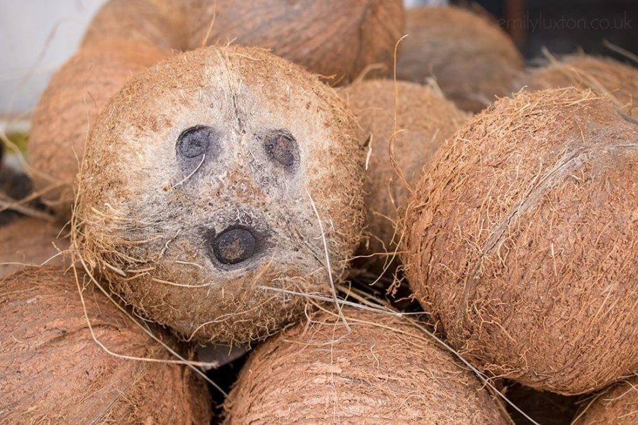 11 Foodie and Fun Things to do in St Lucia (Gros Islet and Beyond)