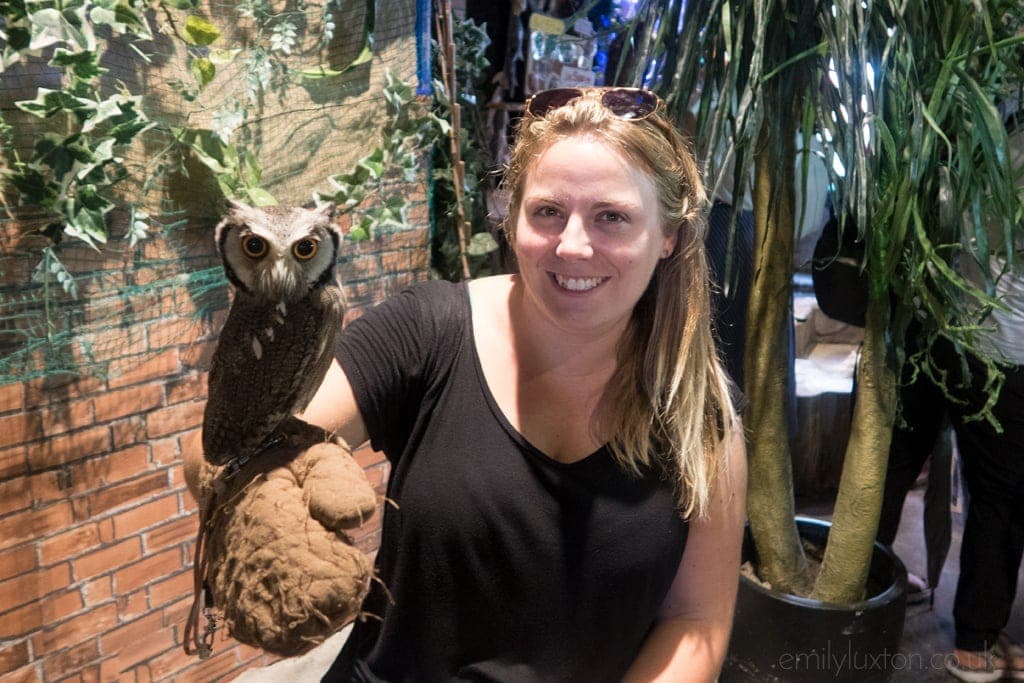 8 of the Best (and Craziest) Tokyo Themed Cafes