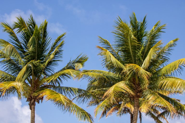 12 of the Best Things to do in Antigua in The Caribbean - Plus Travel Tips