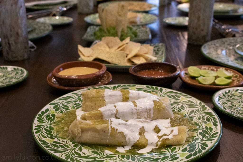 Michoacan Travel Guide: Best Things to Do in Michoacan Mexico