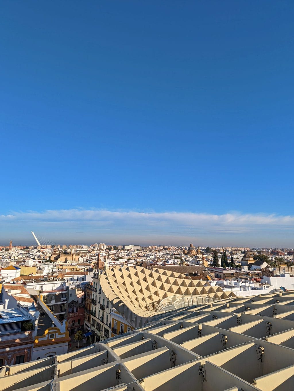Seville in Winter: Everything you Need to Know!
