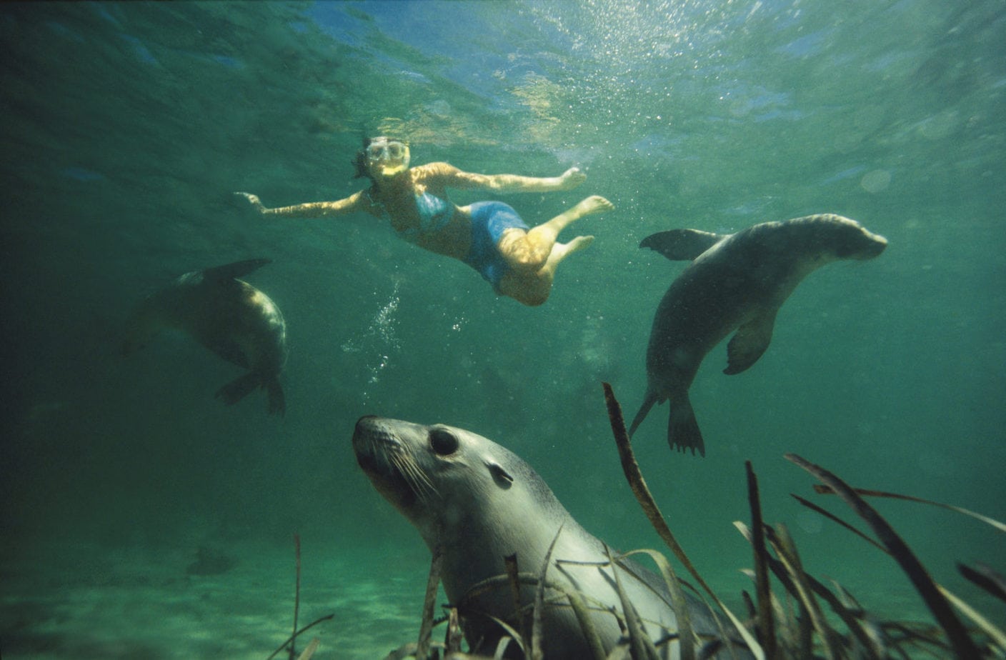 10 Top Reasons to Take a Working Holiday in Adelaide