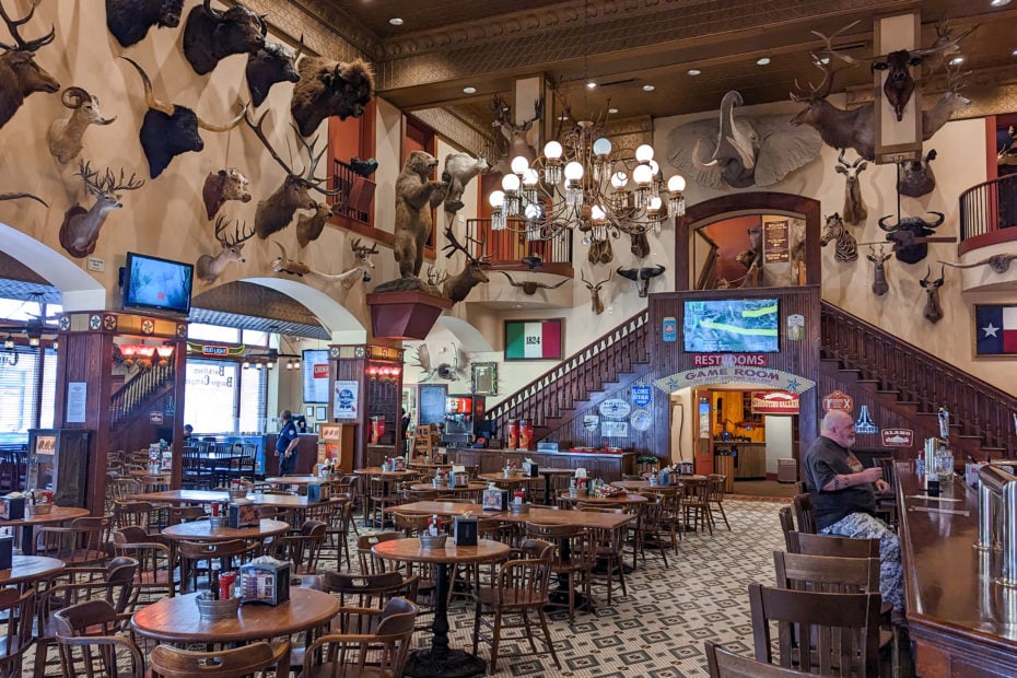 What to do on a Day Trip in San Antonio Texas