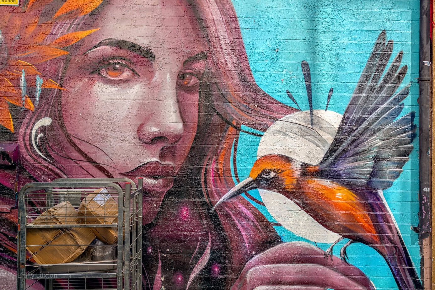 Brick Lane Street Art: Free Self-Guided Tour with Map